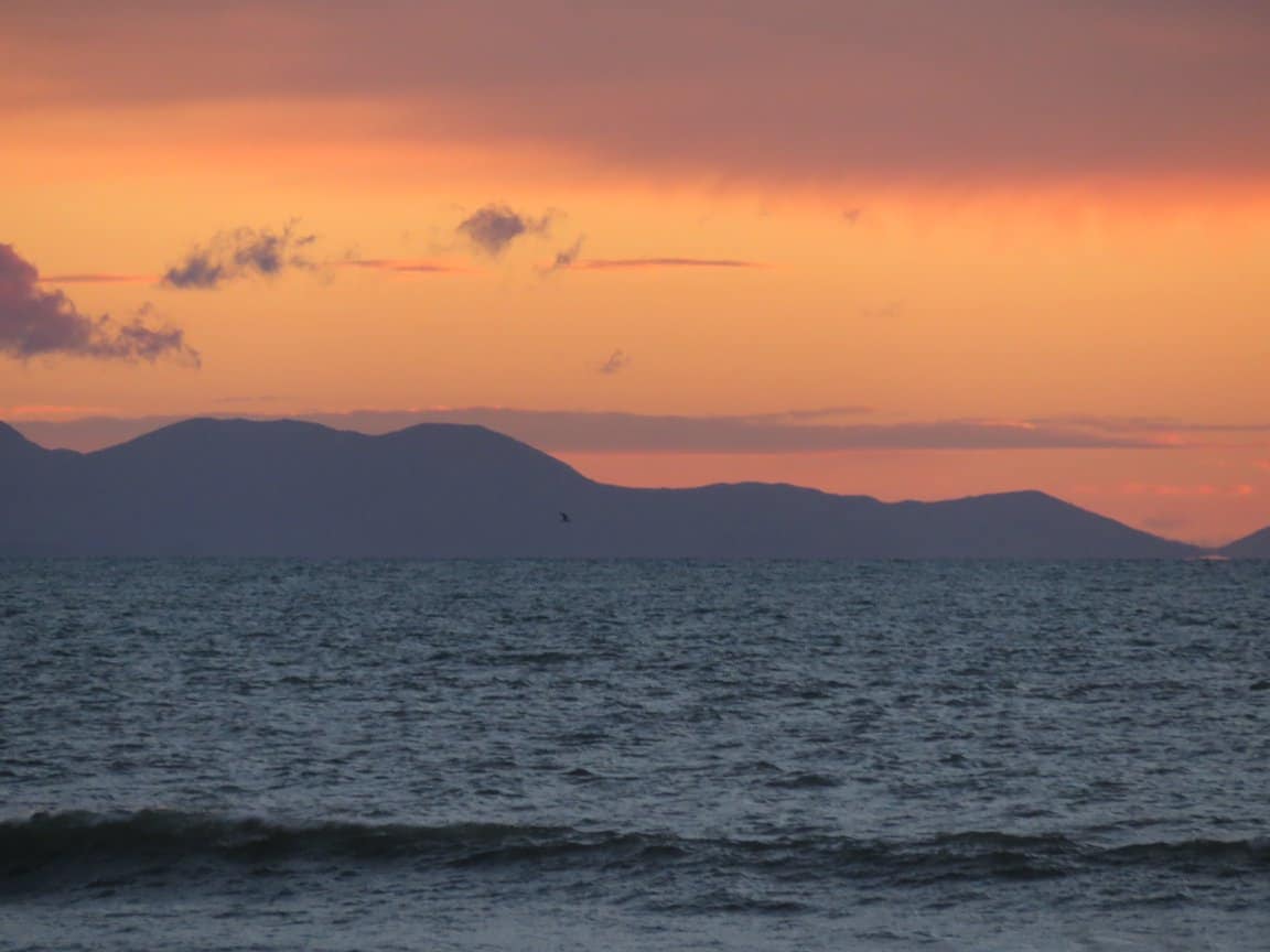 Is Your Blog Too Busy? • Joy Healey