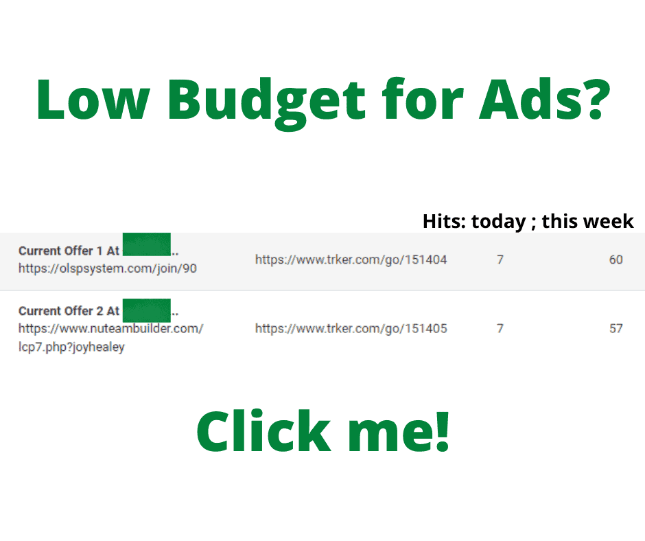 Low Budget For Ads? • Joy Healey